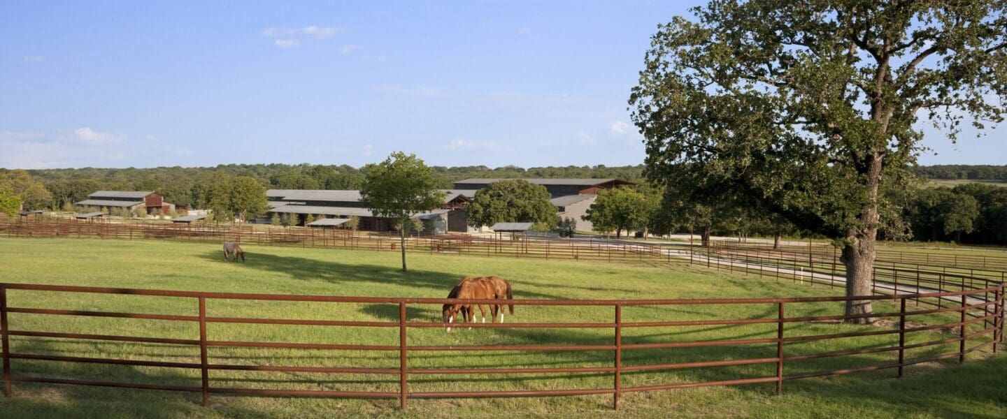 Cutting Horse Ranch — Lake Flato