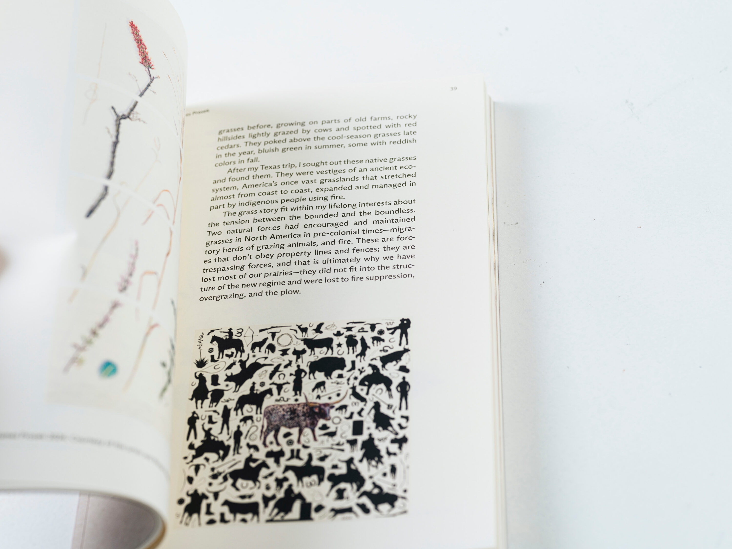 Notes from the Field: Thoughts on the Environment and How We Shape It ...